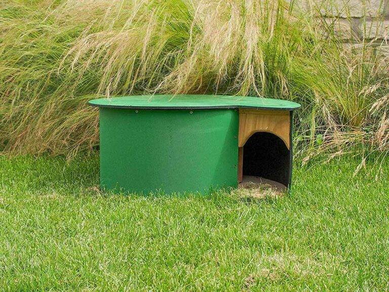 6 Best Hedgehog Houses - 2025 Buyers Guide Review | Garden Junkie