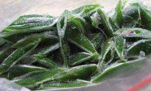 How To Freeze Runner Beans | Garden Junkie