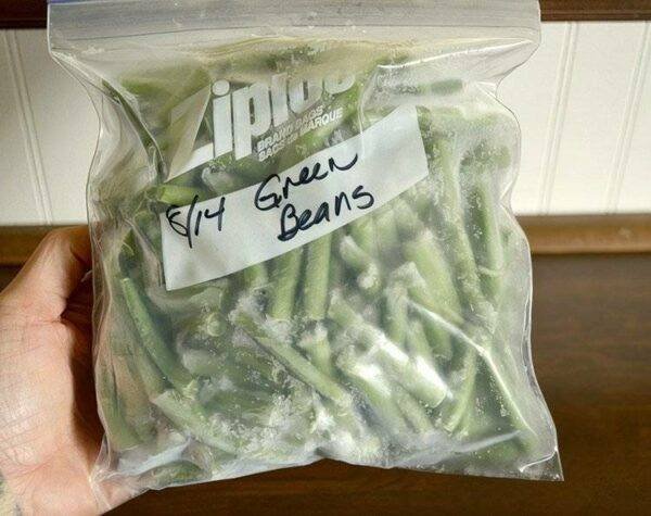 How To Freeze Runner Beans | Garden Junkie
