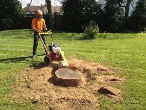 How To Dig Out A Tree Stump - 5 Best Methods | Garden Junkie