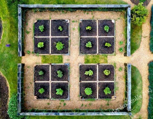 Square Foot Gardening | Garden Junkie